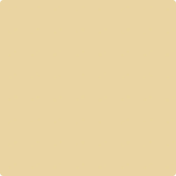 CC-200 Vellum a Paint Color by Benjamin Moore | Aboff's - Aboff's Paints